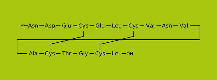API Pharmaceutical Manufacturers Company in Hyderabad India | Viruj Pharma